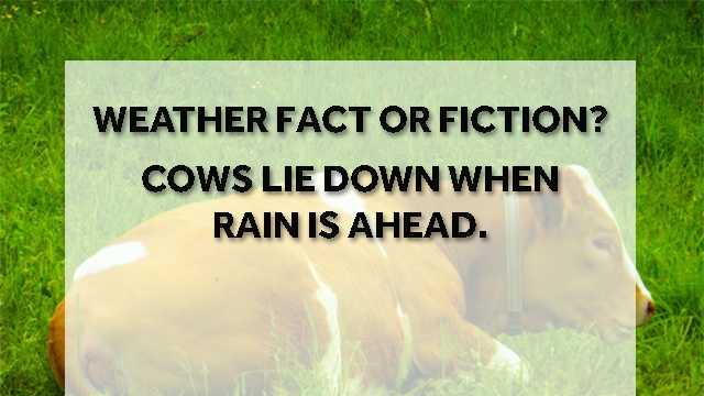 Weather folklore: Is it fact or fiction?