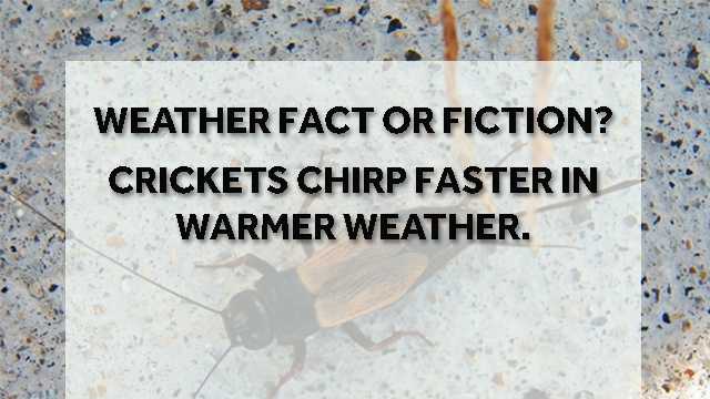 Weather folklore: Is it fact or fiction?