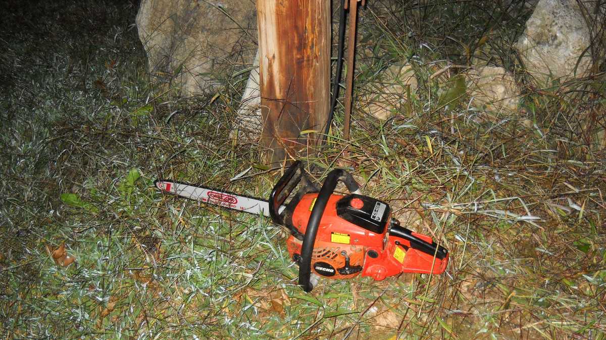 Images: Man accused of setting fire, using chainsaw Images: Man accused of setting fire, using chainsaw