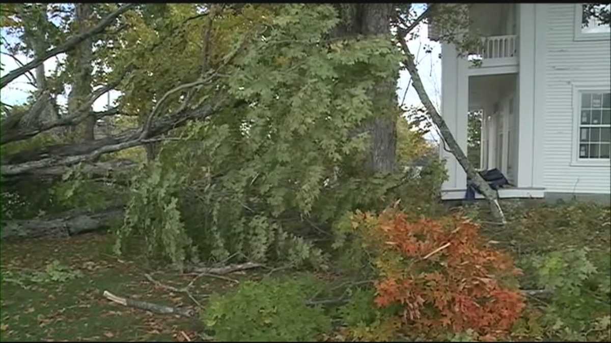 Strong storms bring down trees, cause outages