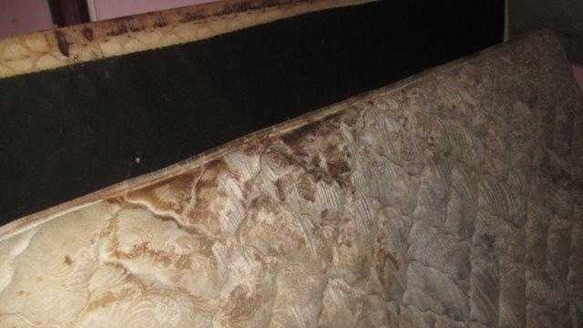 Photos: Look inside squalid Massachusetts home