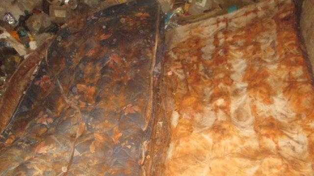 Photos: Look inside squalid Massachusetts home