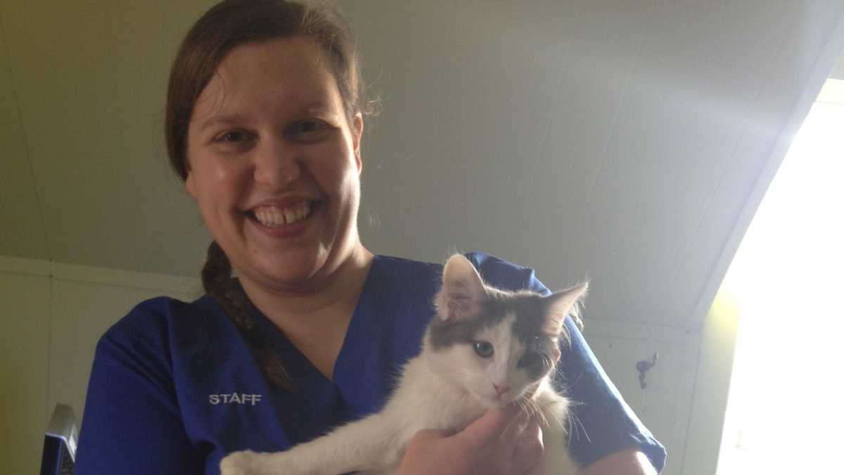 Photos: New Mexico cat found in Maine