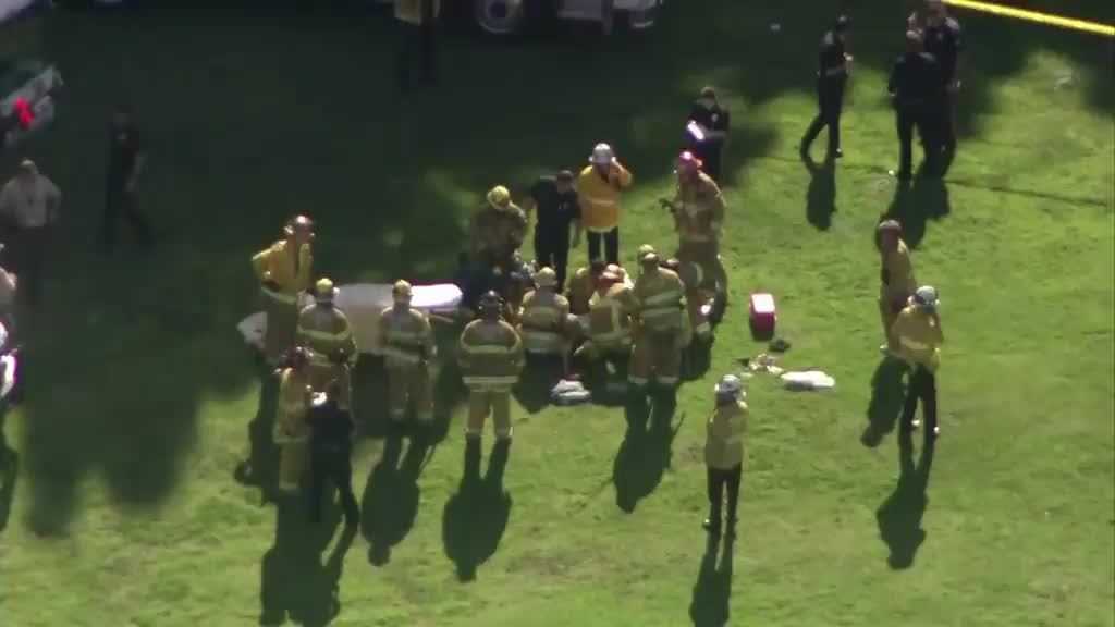 Caught on camera: Harrison Ford rescue