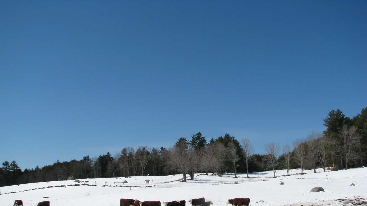 Photos: Remick Farm ready for spring