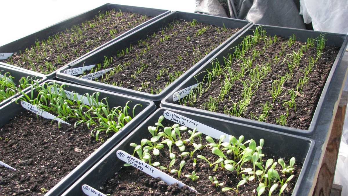 Photos: Remick Farm ready for spring