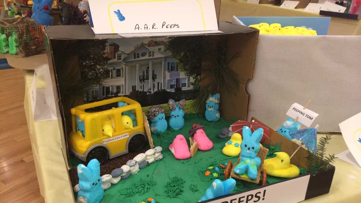 Photos: 2015 Peeps Diorama Contest