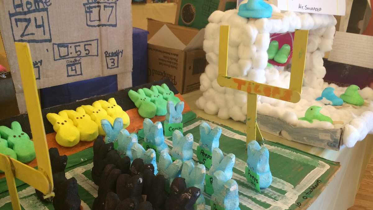 Photos: 2015 Peeps Diorama Contest
