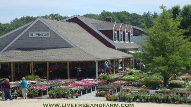 Viewers' Choice 2015: Best garden center in New Hampshire