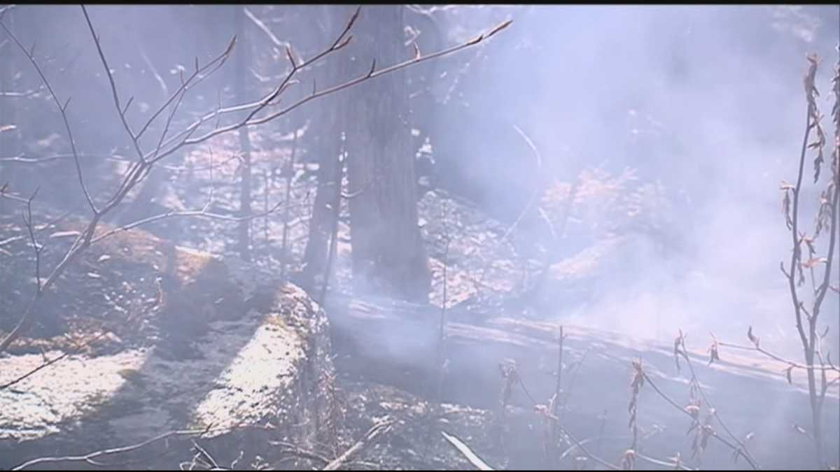 Ossipee brush fire 100 percent contained