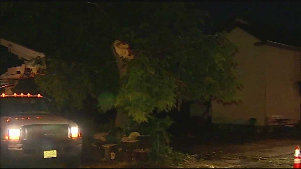 Boy hit by falling tree in Nashua during severe weather