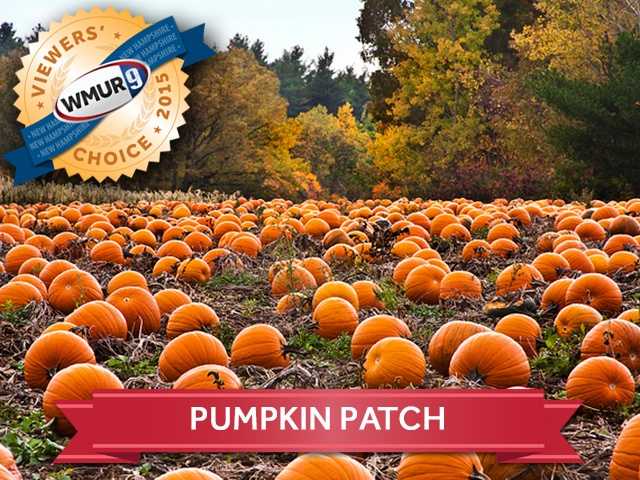 Viewers' Choice 2015: Best pumpkin patch in New Hampshire