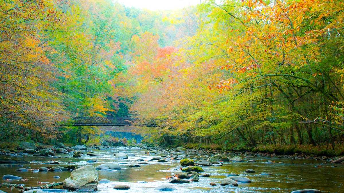 Top fall foliage destinations for 2015