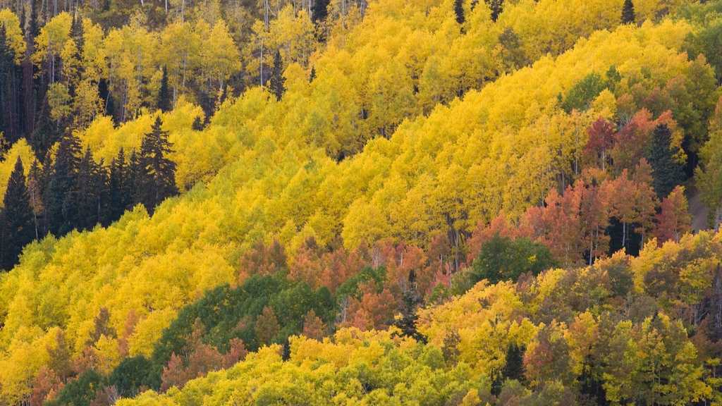 Top fall foliage destinations for 2015