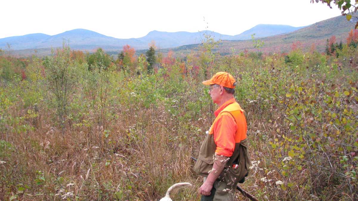 Hunting and fishing license fee increases approved