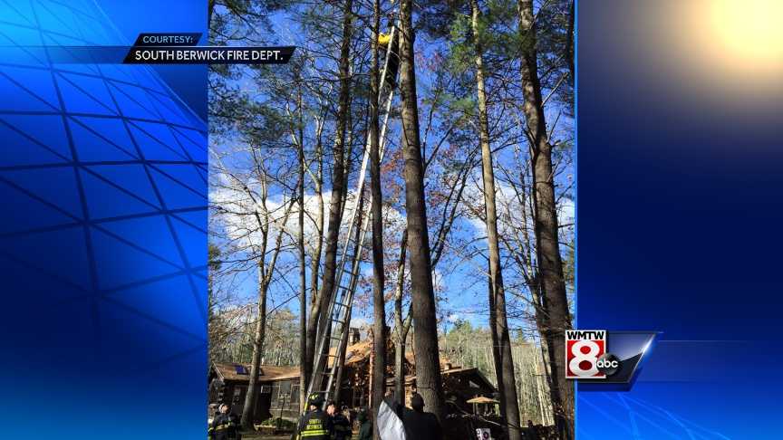 Firefighter named Tom rescues cat named Jerry