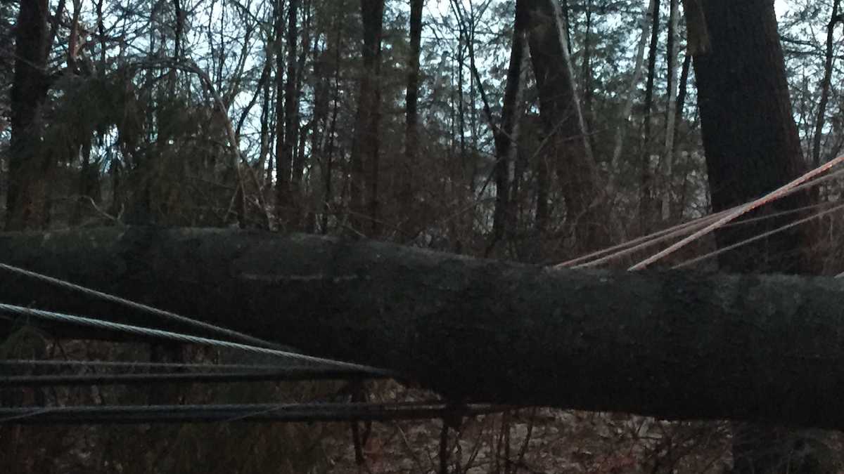 Stunning images show damage from February severe storms