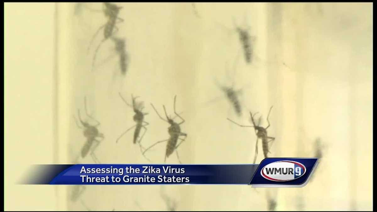 Experts monitor for presence of Zika-carrying mosquito