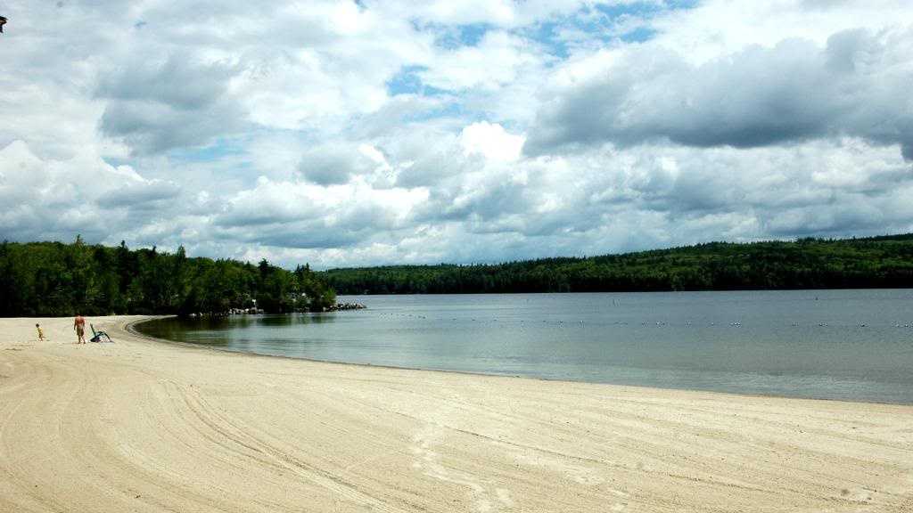 Water samplings exceed bacteria standard at Sunapee beach
