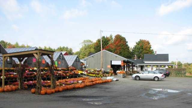 Viewers' Choice 2016: Best farm stand in New Hampshire