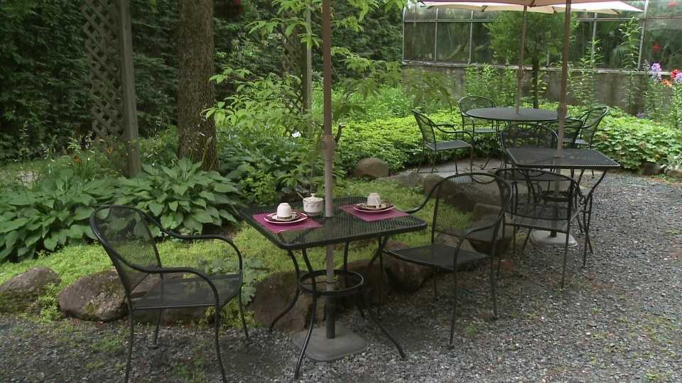 Tuesday, August 2nd: Tarbin Gardens