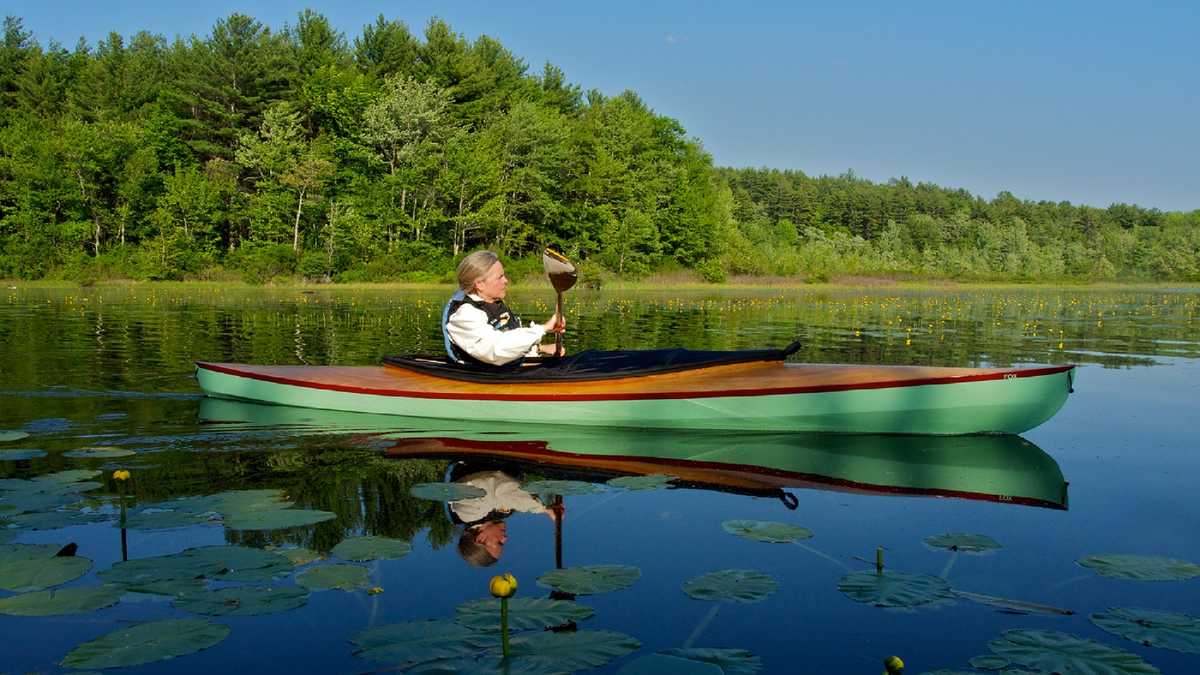 Build a fox boat this summer