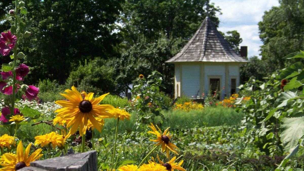 Muster Field Farm Days are this weekend