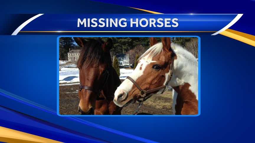 Missing horses found safe on Middle Mountain