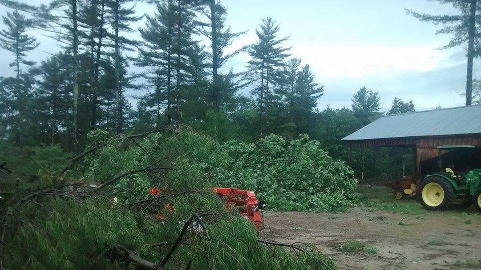 Sunday morning storm causes damage across state