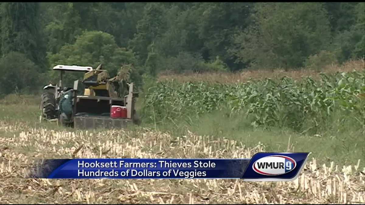 Hundreds of dollars of produce stolen from farm
