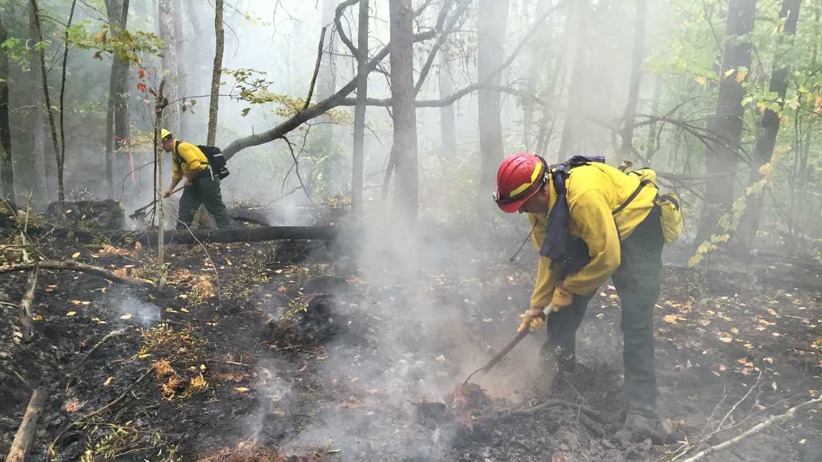 Firefighters return to fight brush fire for second day