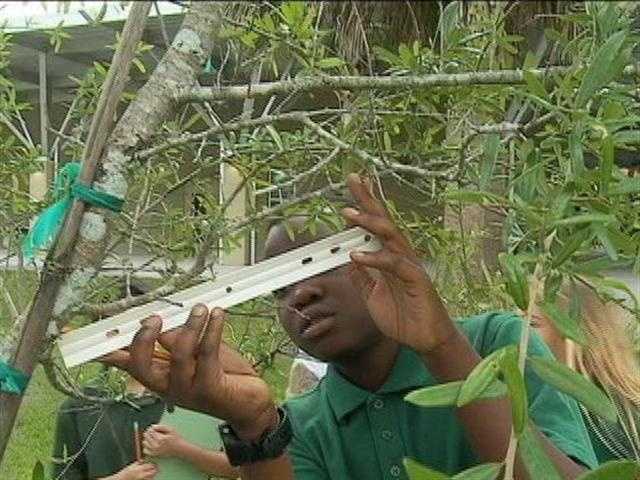 Images: Pine Jog Elementary