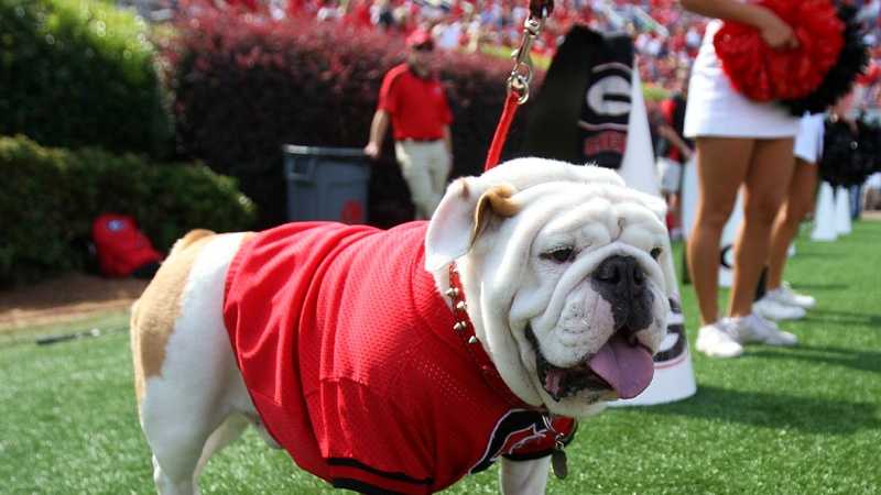 10 great mascots