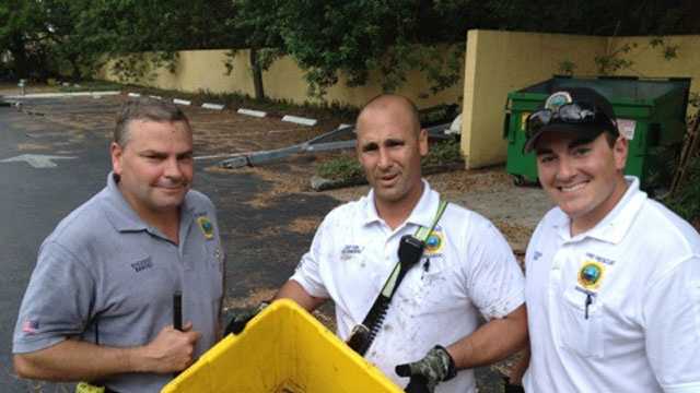 Firefighters reunite ducklings stuck in storm drain with mother