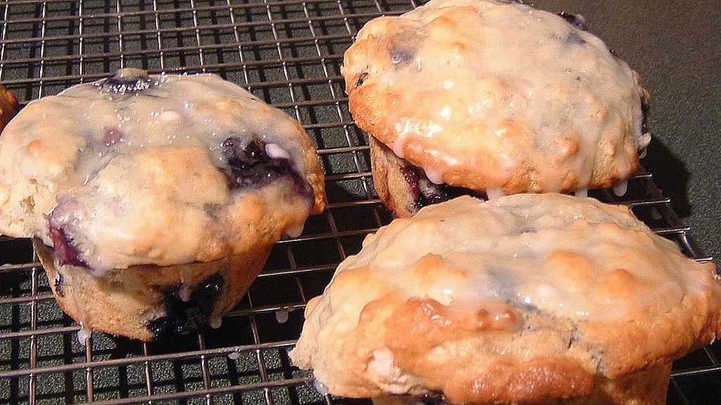 Fun Facts! National Blueberry Muffin Day