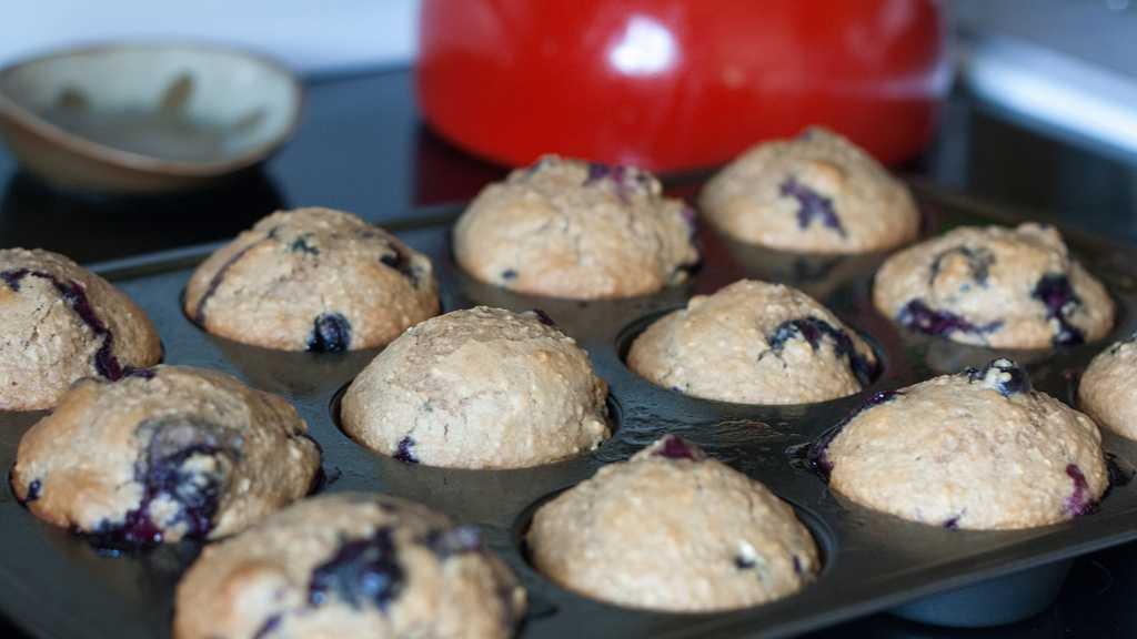 Fun Facts! National Blueberry Muffin Day