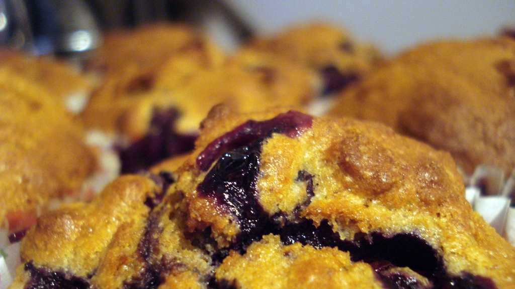 Fun Facts! National Blueberry Muffin Day