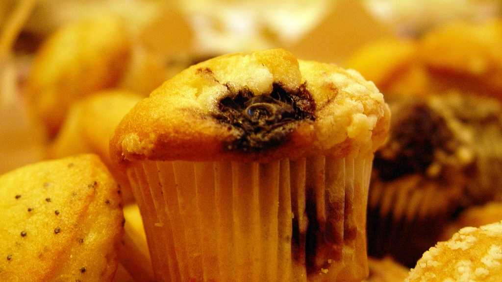 Fun Facts! National Blueberry Muffin Day