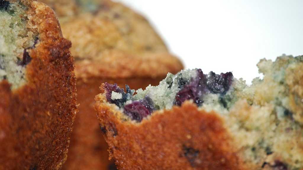 Fun Facts! National Blueberry Muffin Day