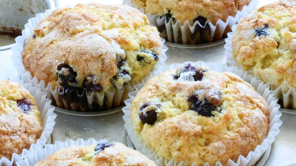Fun Facts! National Blueberry Muffin Day