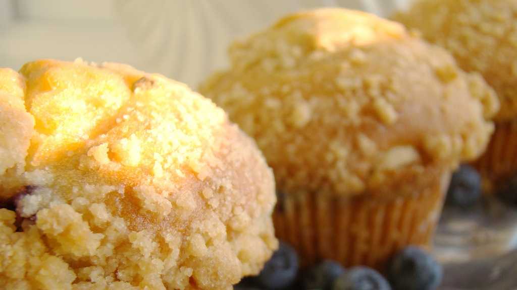 Fun Facts! National Blueberry Muffin Day
