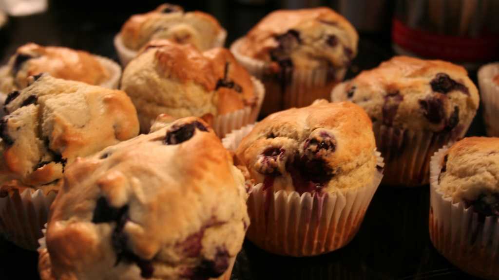 Fun Facts! National Blueberry Muffin Day