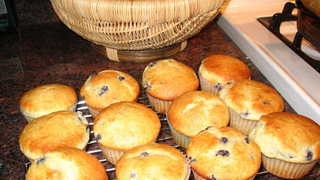 Fun Facts! National Blueberry Muffin Day