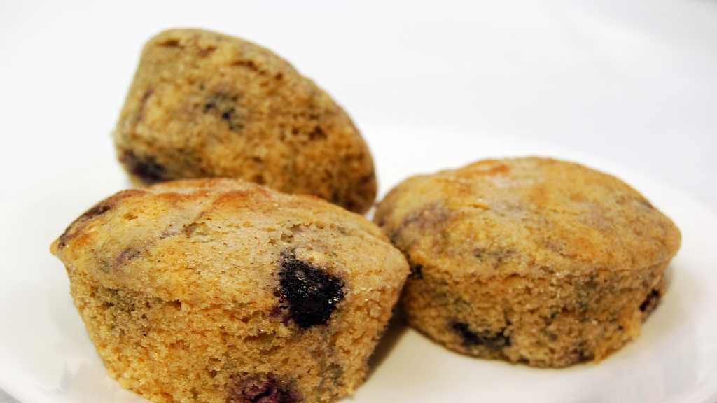 Fun Facts! National Blueberry Muffin Day