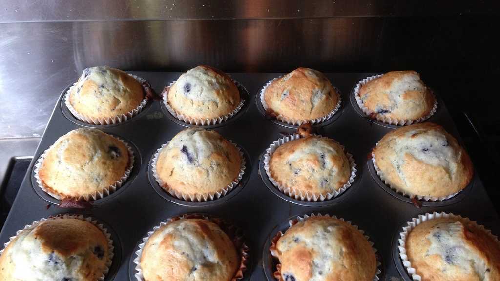 Fun Facts! National Blueberry Muffin Day
