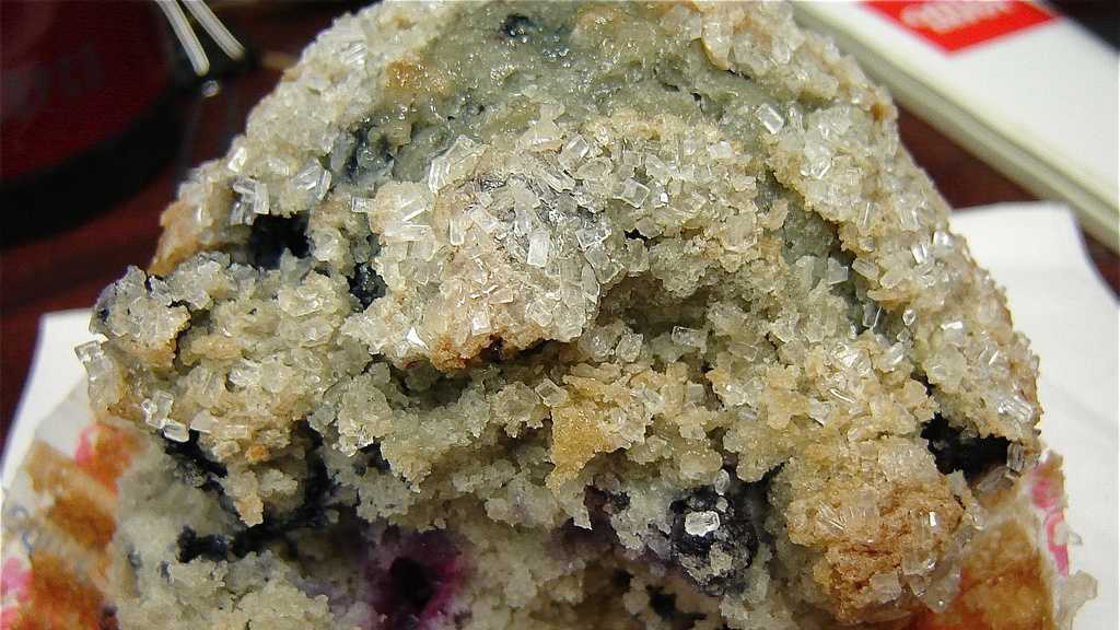 Fun Facts! National Blueberry Muffin Day