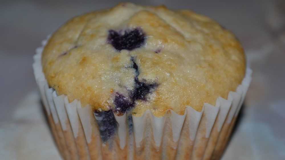 Fun Facts! National Blueberry Muffin Day