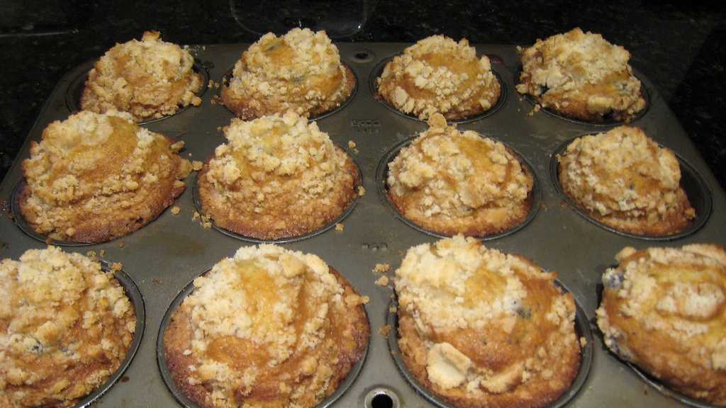 Fun Facts! National Blueberry Muffin Day