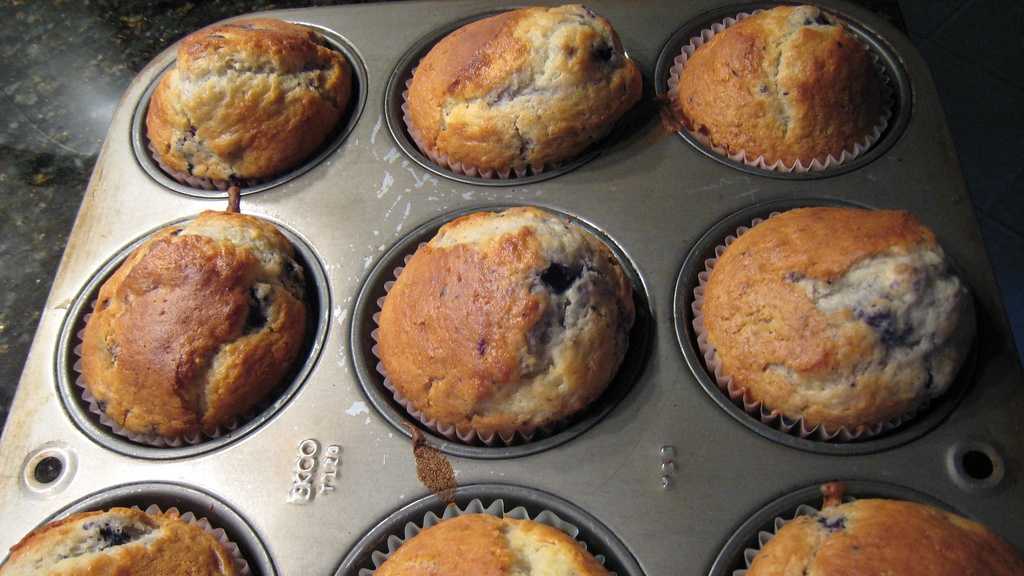 Fun Facts! National Blueberry Muffin Day