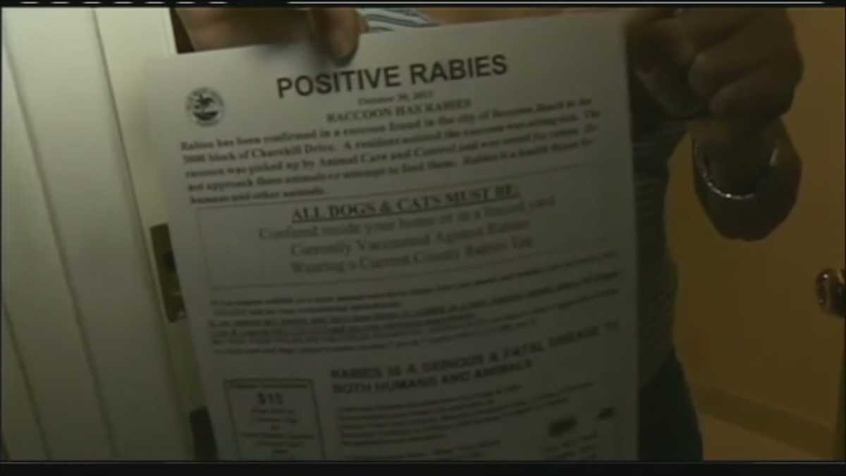 Raccoon found in Boynton Beach tests positive for rabies